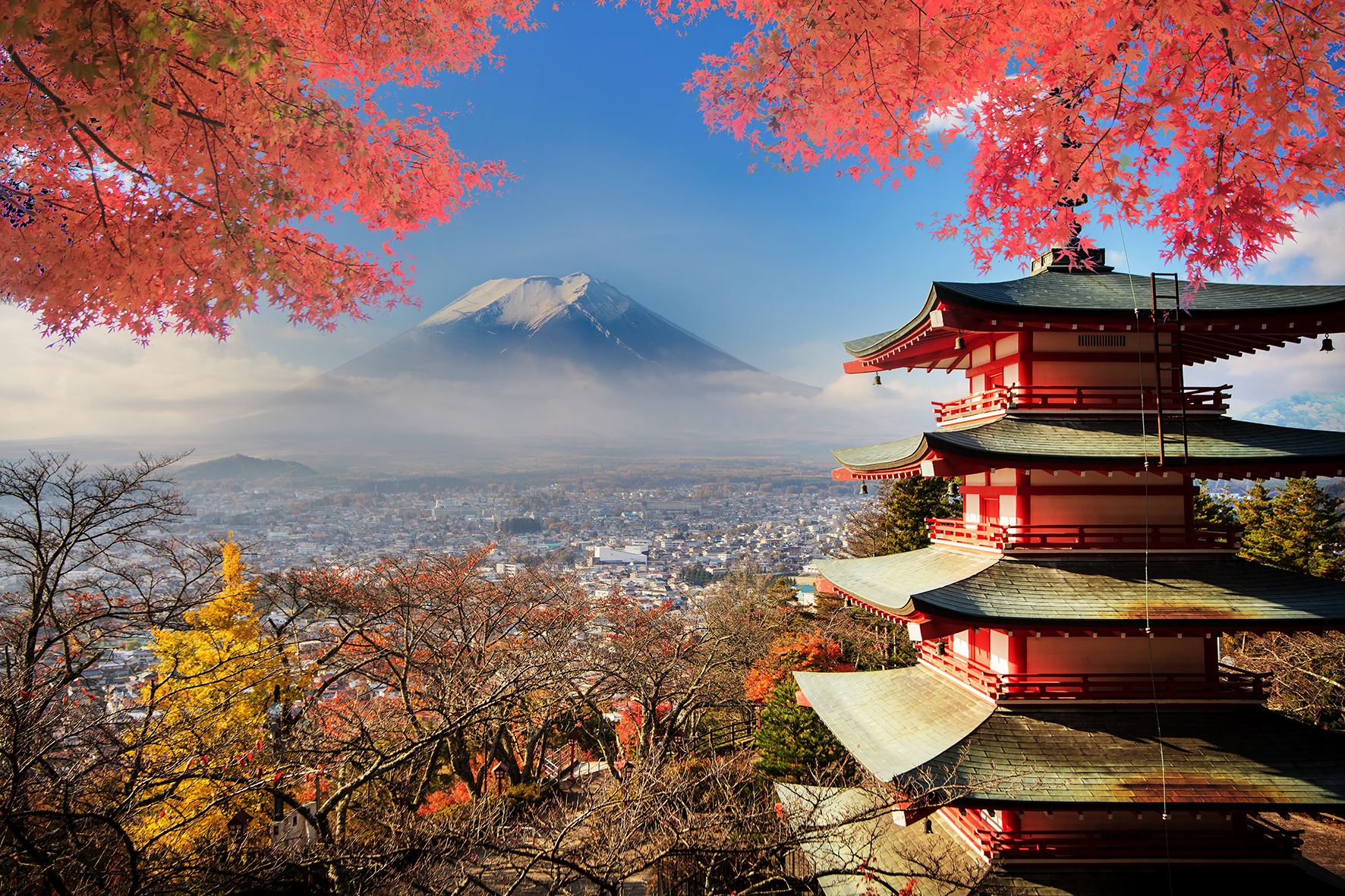 Mt. Fuji with fall colors in Japan. - Top Magazin Dresden